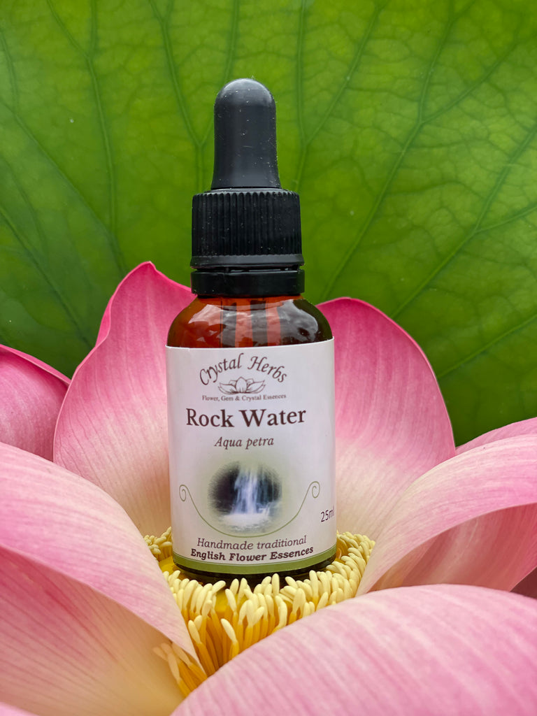 Rock Water – Basking In Light